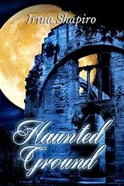 All 46 Irina Shapiro Books in Order (2025)